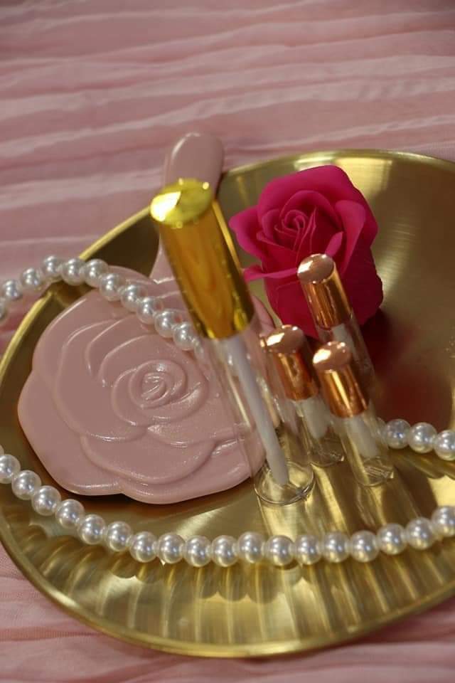 Charm School Application – Prestige School of Protocol